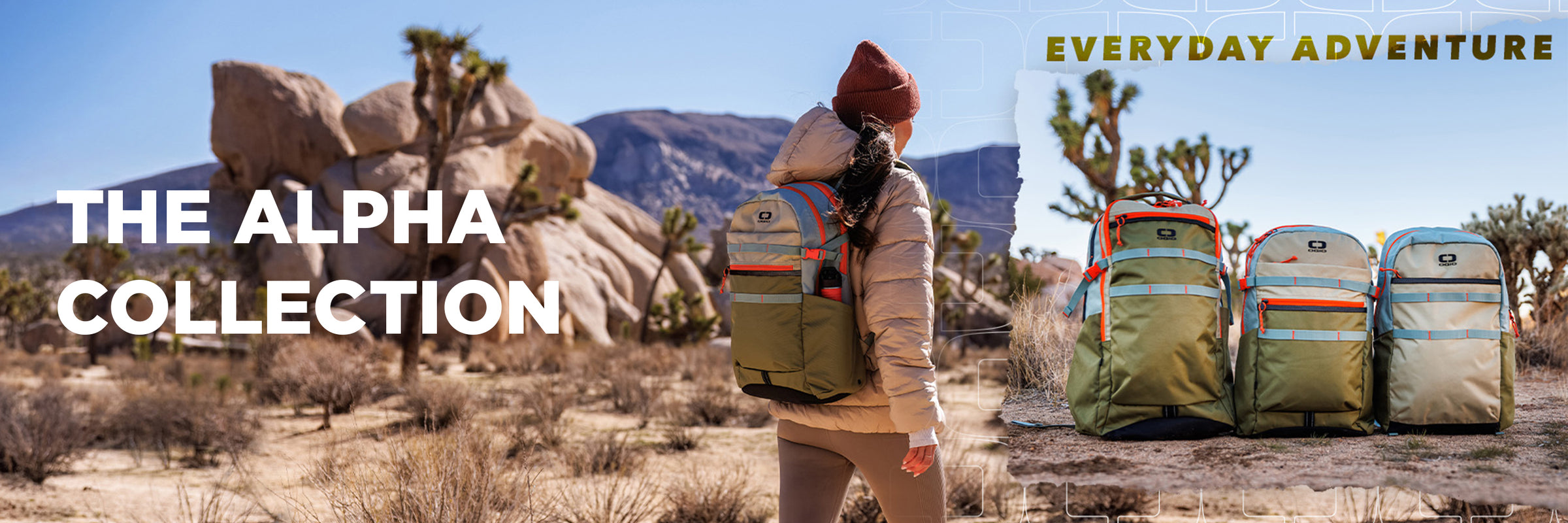 Buy Alpha Bags Online in India | Explore Travel Backpacks